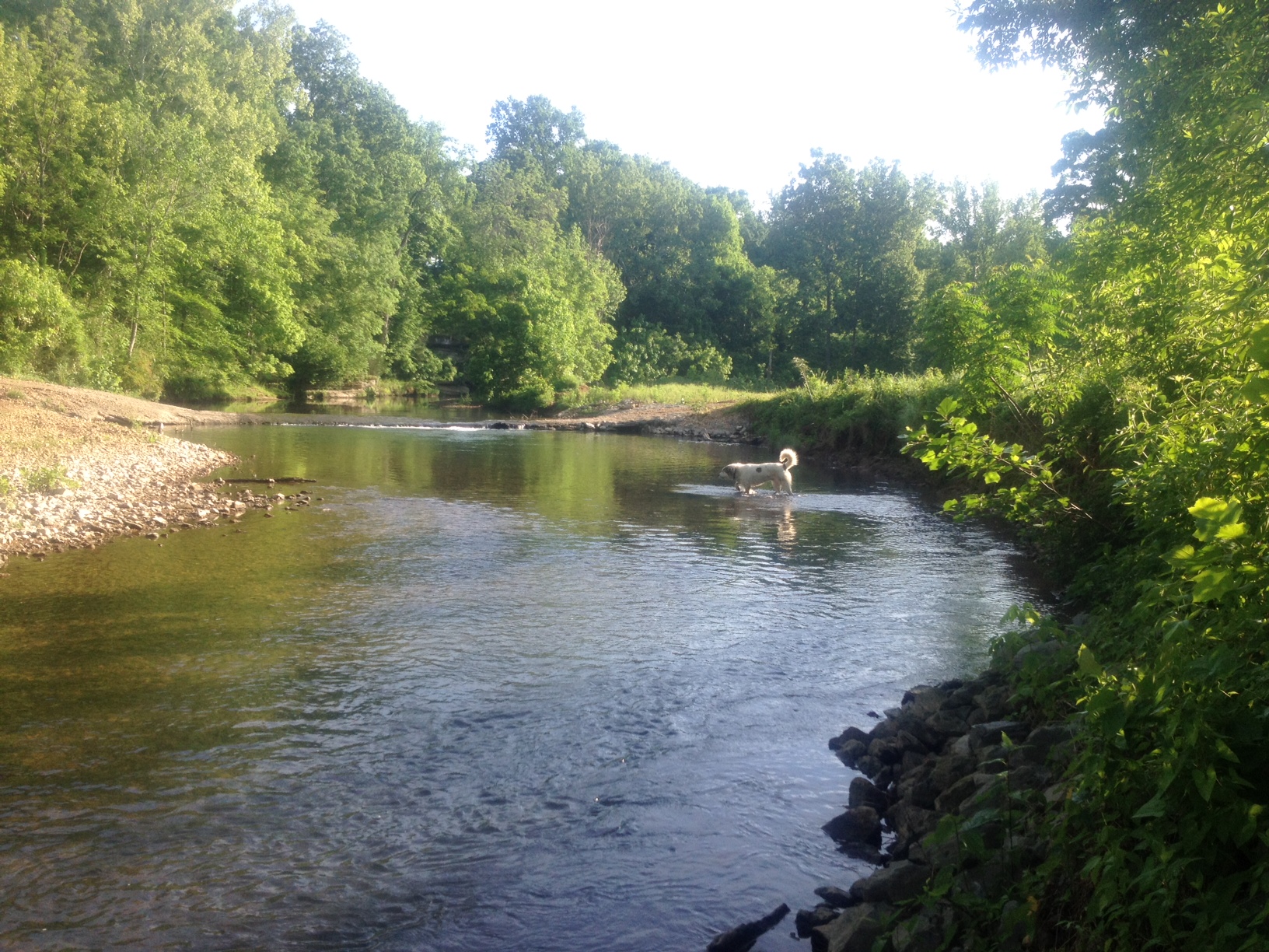 About – Exhortation Station