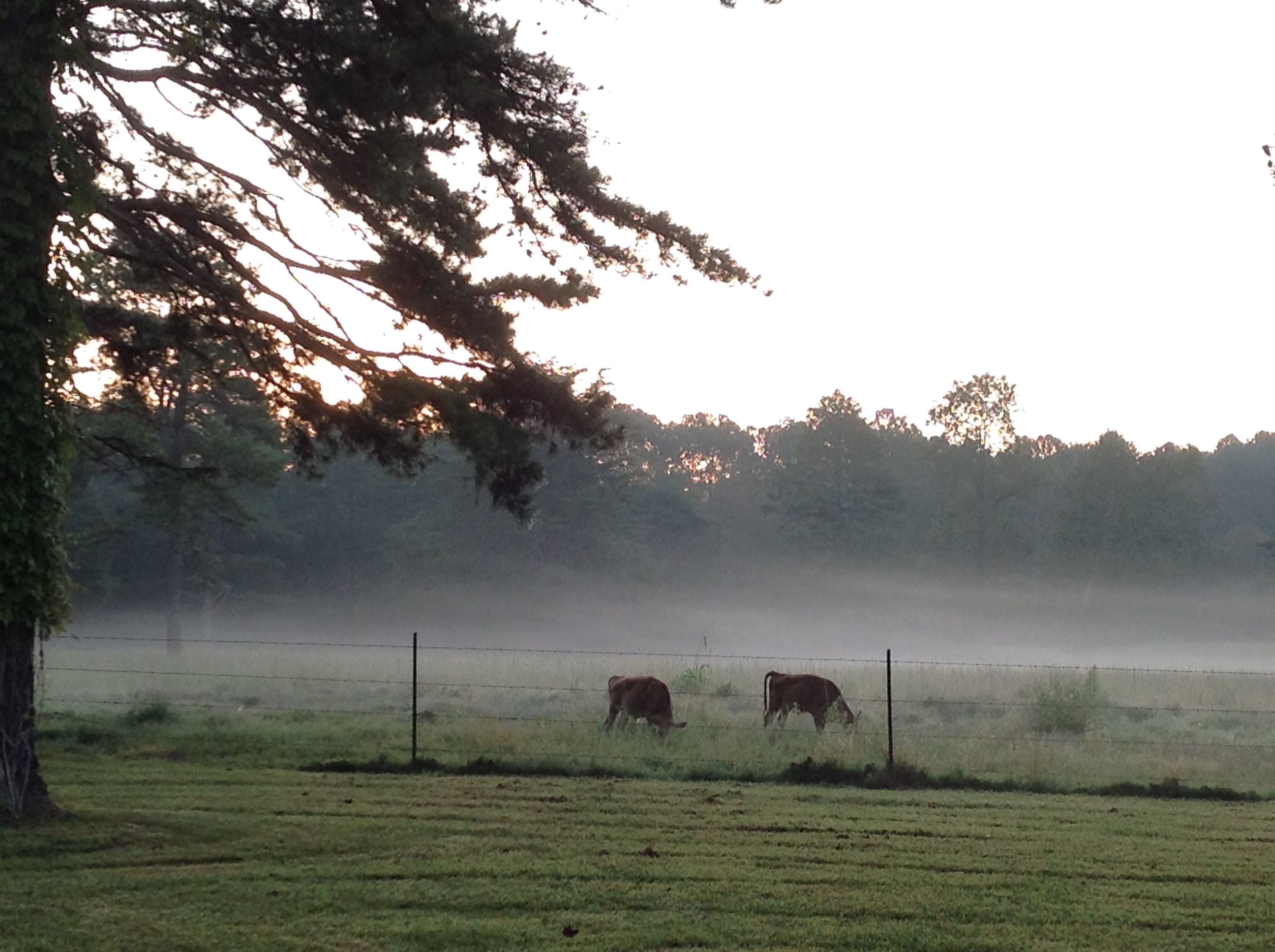 About – Exhortation Station